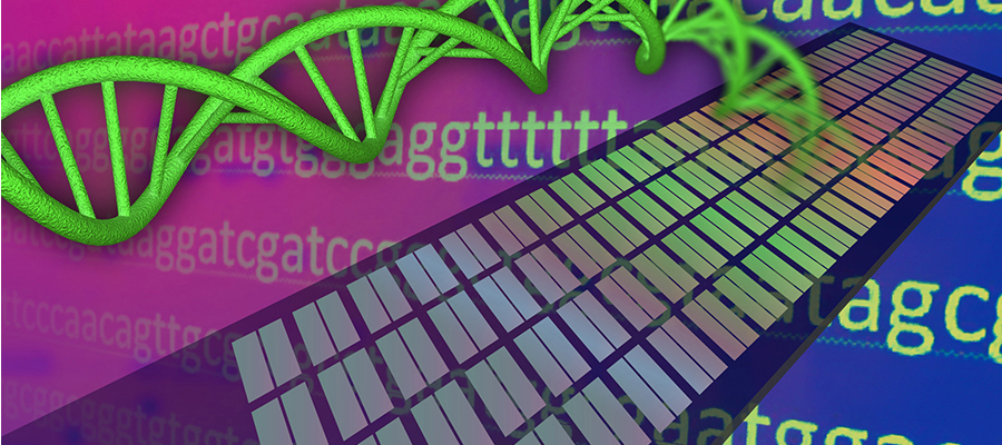 Computing, Algorithms & Genomics | Cross-Disciplinary Fellowships | Cross-Disciplinary Fellowships